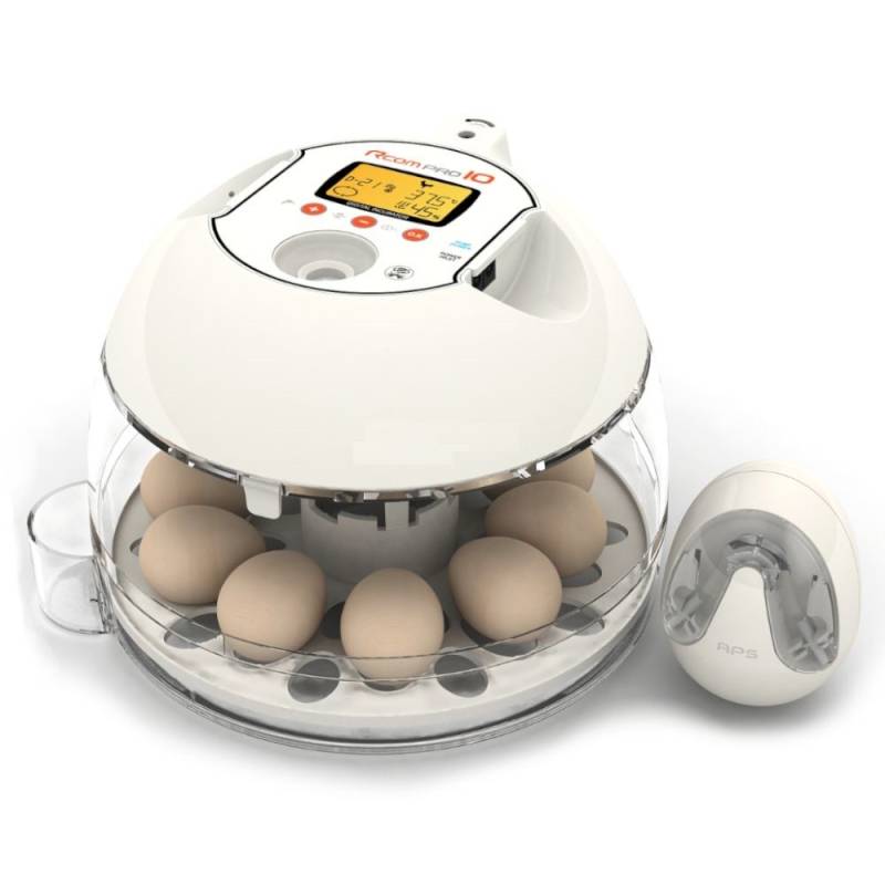 Rcom 10 PRO Plus+ Incubadora (Automática)
