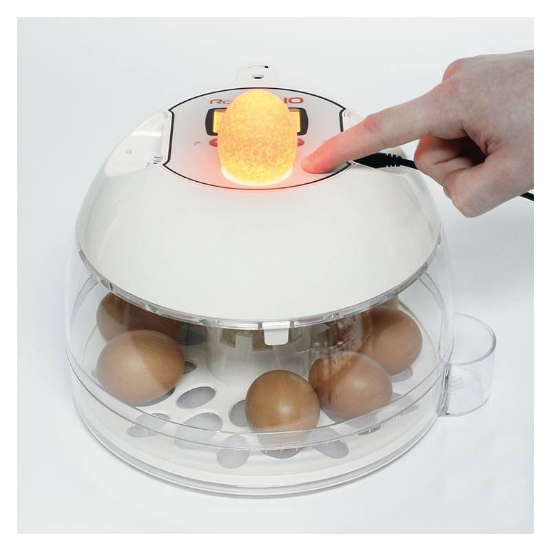 Rcom 10 PRO Plus+ Incubadora (Automática)