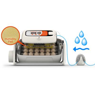 Rcom King Suro Max 20 Incubadora (Automática)