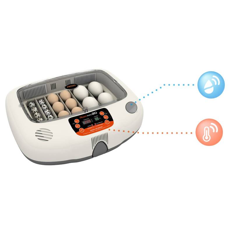 Rcom 20 MAX Digital Incubadora (Automática)
